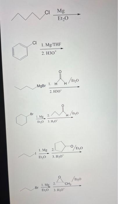 Solved Et2OMg 2. H+O+ 1. Mg THF | Chegg.com