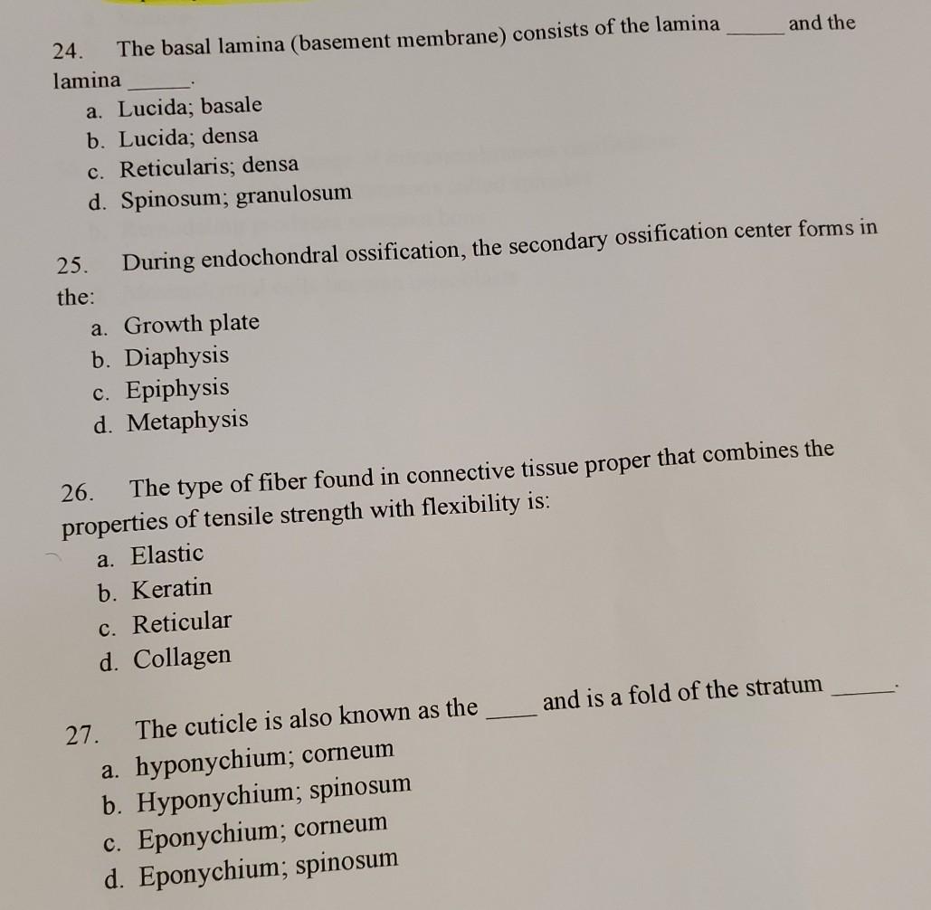 Solved and the 24. The basal lamina (basement membrane) | Chegg.com