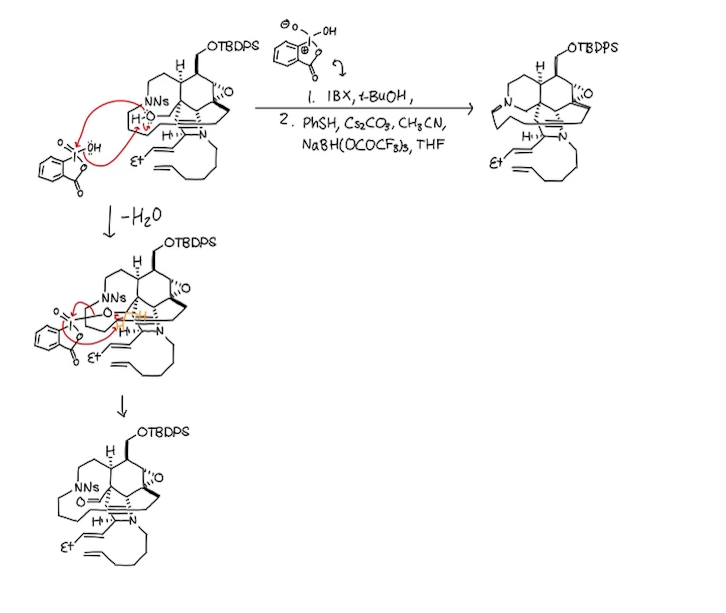 Solved Draw the arrow pushing mechanism for the following | Chegg.com