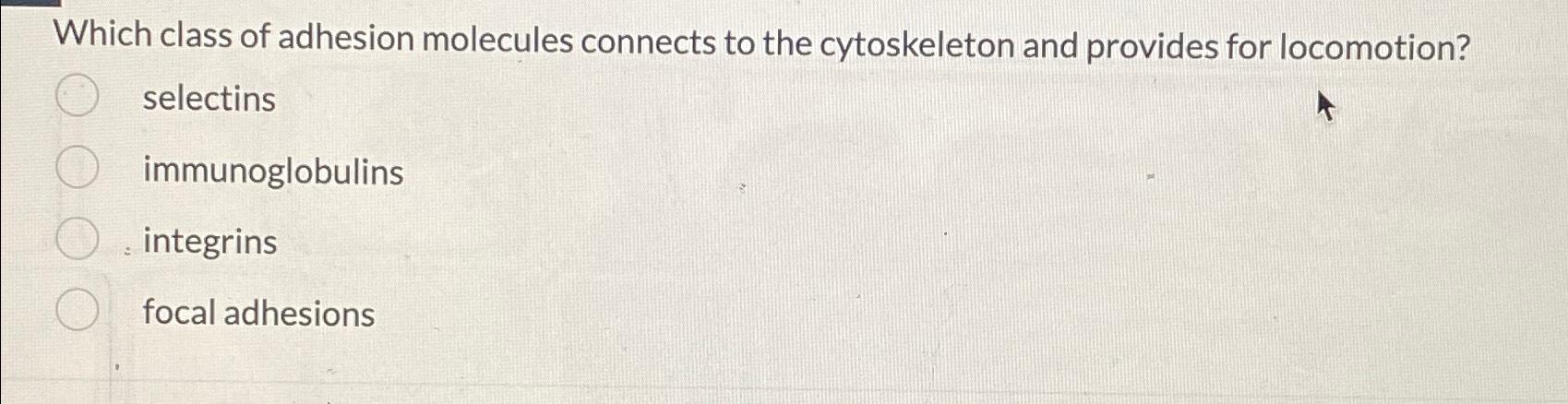 Solved Which class of adhesion molecules connects to the | Chegg.com