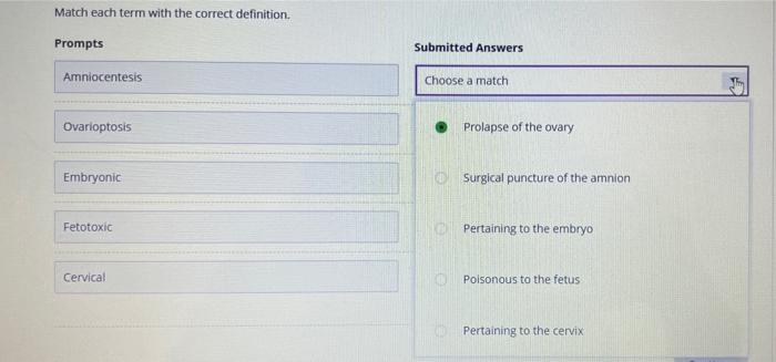 Solved Match each term with the correct definition. Prompts | Chegg.com