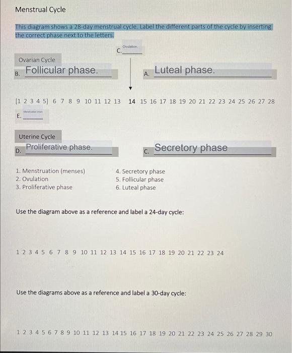 Solved i need assistamce on the two bottom questions | Chegg.com
