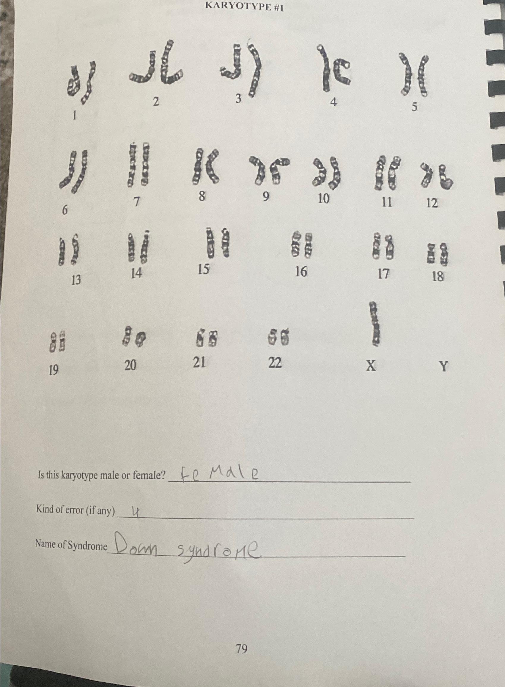 Solved KARYOTYPE #12761202019Is this karyotype male or | Chegg.com