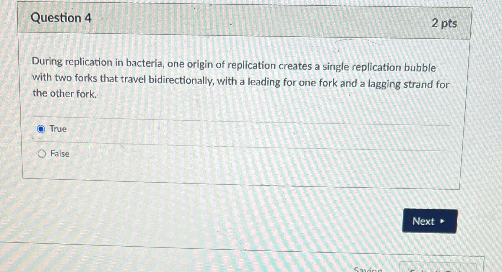 Solved Question 42 ﻿ptsDuring replication in bacteria, one | Chegg.com