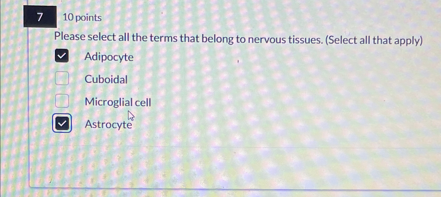 Solved 710 ﻿pointsPlease select all the terms that belong to | Chegg.com