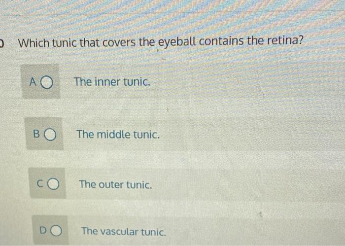 Solved Which tunic that covers the eyeball contains the | Chegg.com