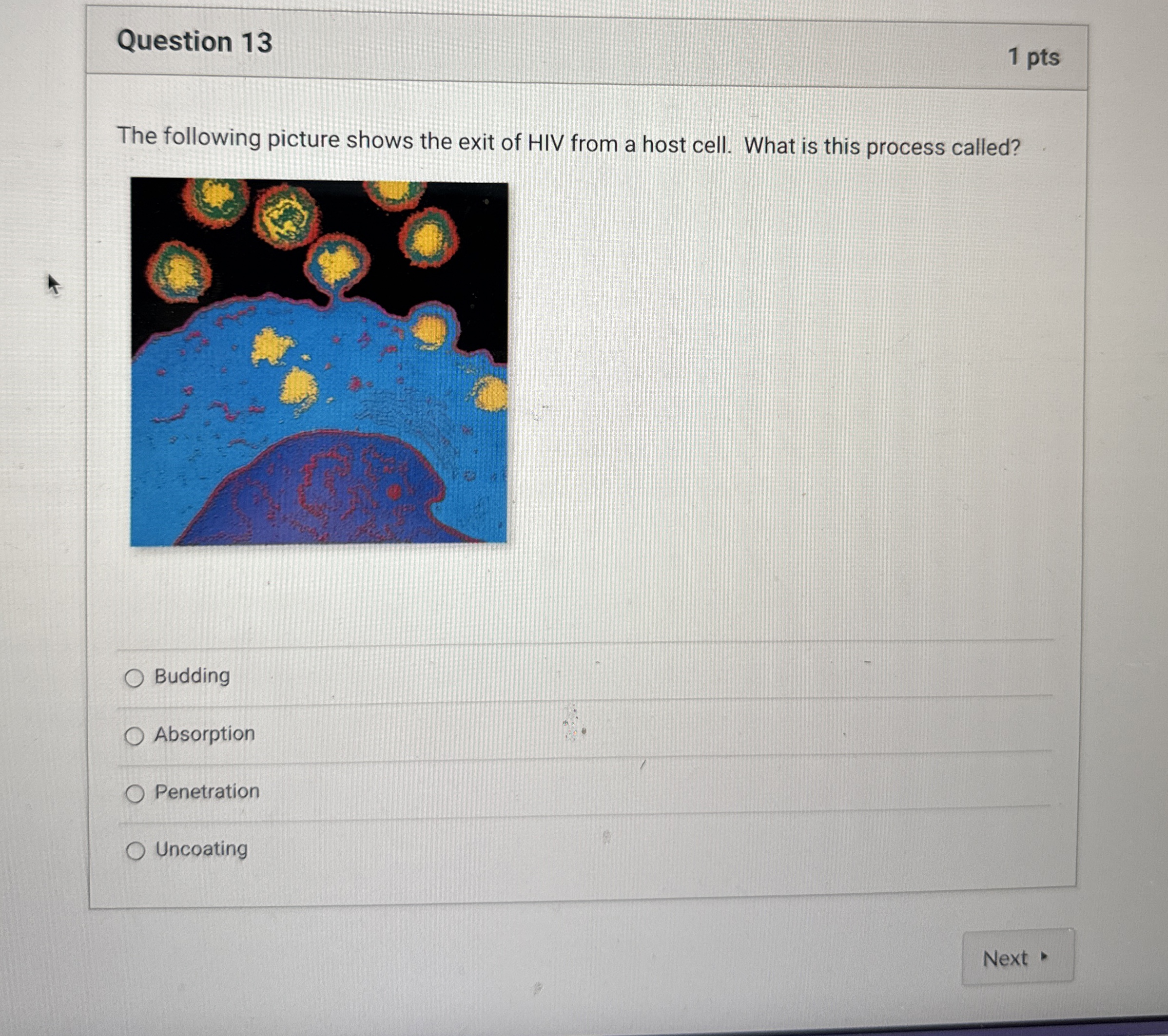 Solved Question 131 ﻿ptsThe following picture shows the exit | Chegg.com