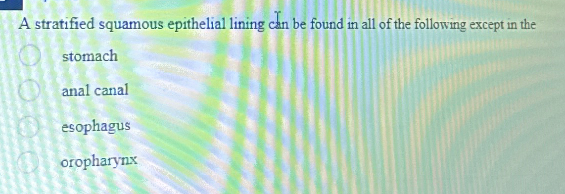 Solved A stratified squamous epithelial lining can be found | Chegg.com