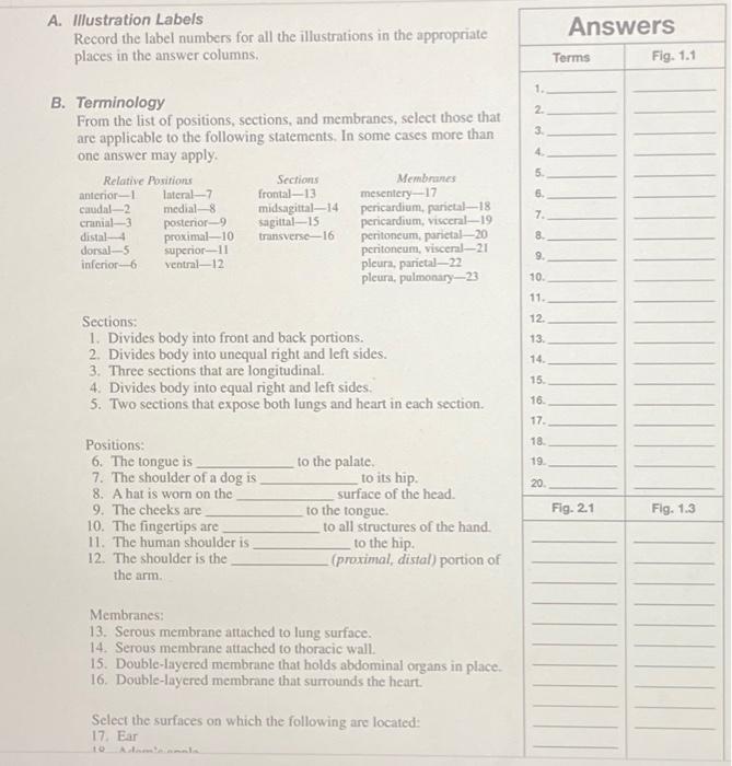 Solved A. Illustration Labels Record the label numbers for | Chegg.com