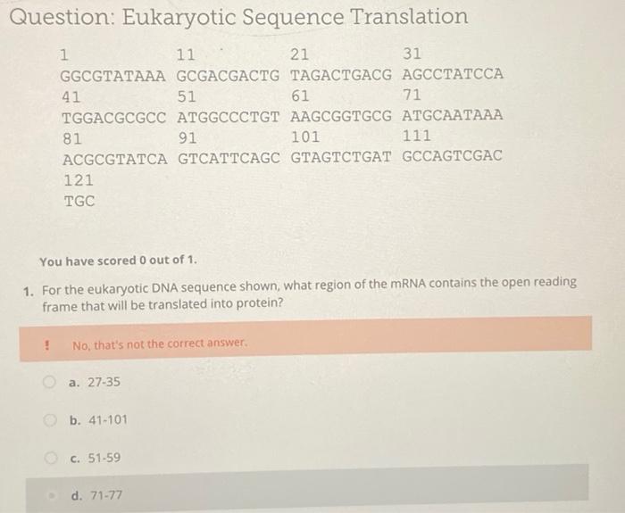 Solved Question: Eukaryotic Sequence Translation 1 11 21 31 | Chegg.com