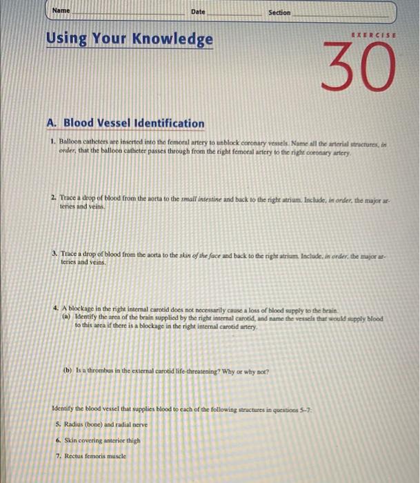 Solved Name Date Section EXERCISE Using Your Knowledge 30 A. | Chegg.com Solved Name Date Section EXERCISE Using Your Knowledge 30 A. | Chegg.com