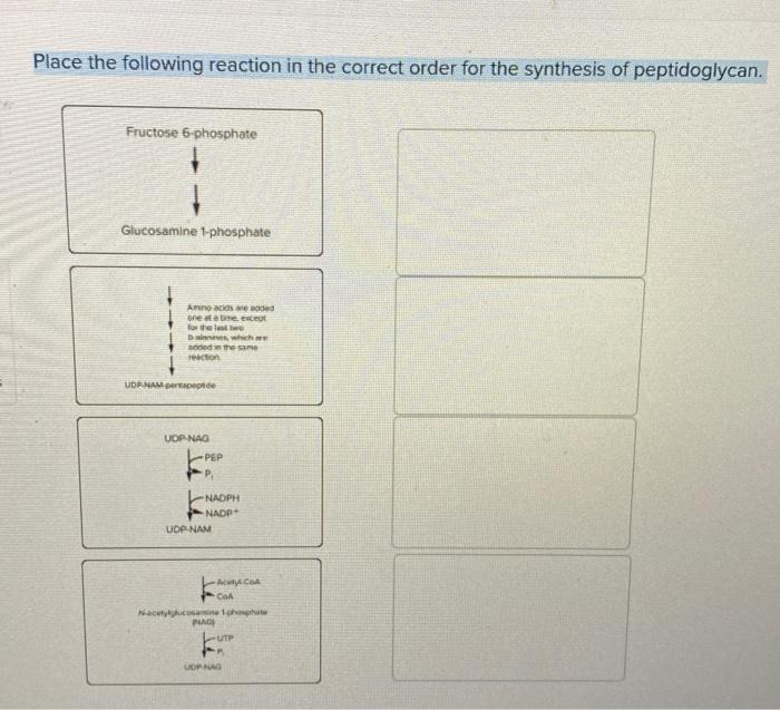 Solved Place the following reaction in the correct order for | Chegg.com