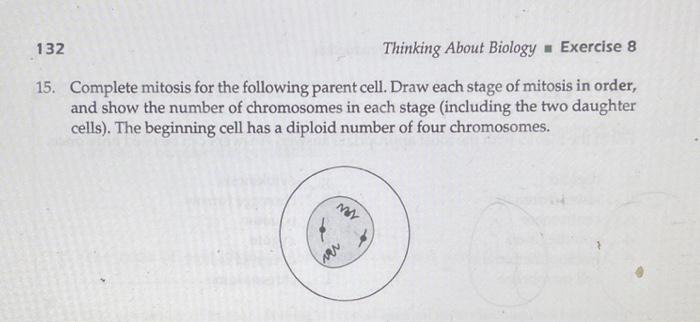 Solved FigurE 8-3. The Cell Cycle as Seen through the | Chegg.com