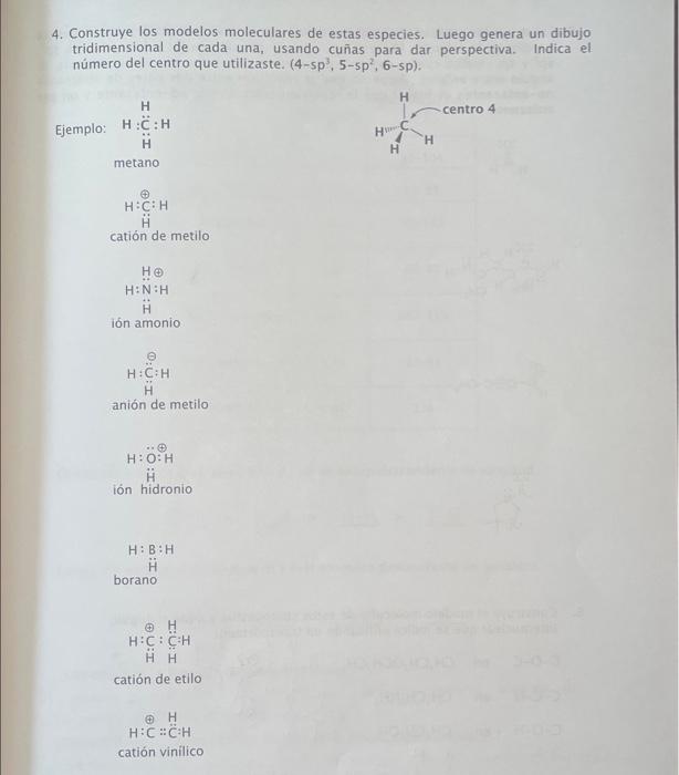 Solved 4. Build molecular models of these species. Then | Chegg.com