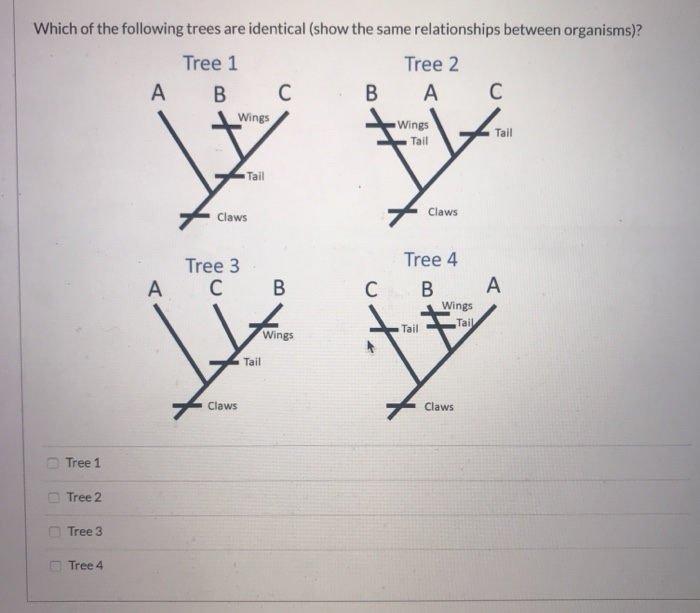 Solved Which of the following trees are identical (show the | Chegg.com
