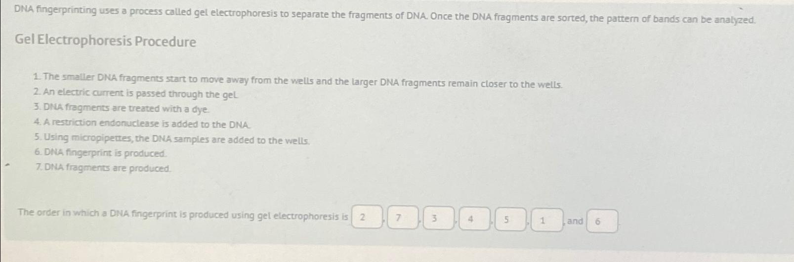 Solved DNA fingerprinting uses a process called gel | Chegg.com