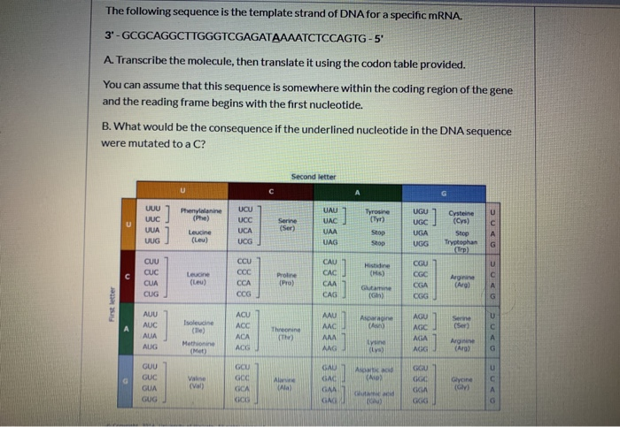 Solved The following statement is false: Pair-rule genes | Chegg.com