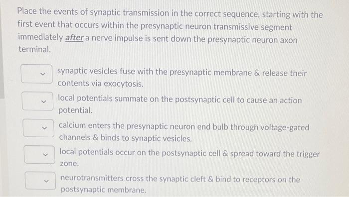 Solved Place the events of synaptic transmission in the | Chegg.com