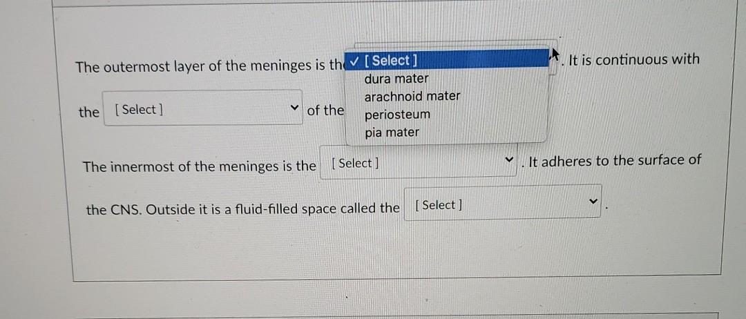 Solved It is continuous with The outermost layer of the | Chegg.com