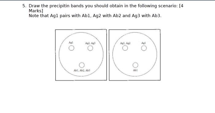 Solved Magnification and Resolving Power Table 1. | Chegg.com