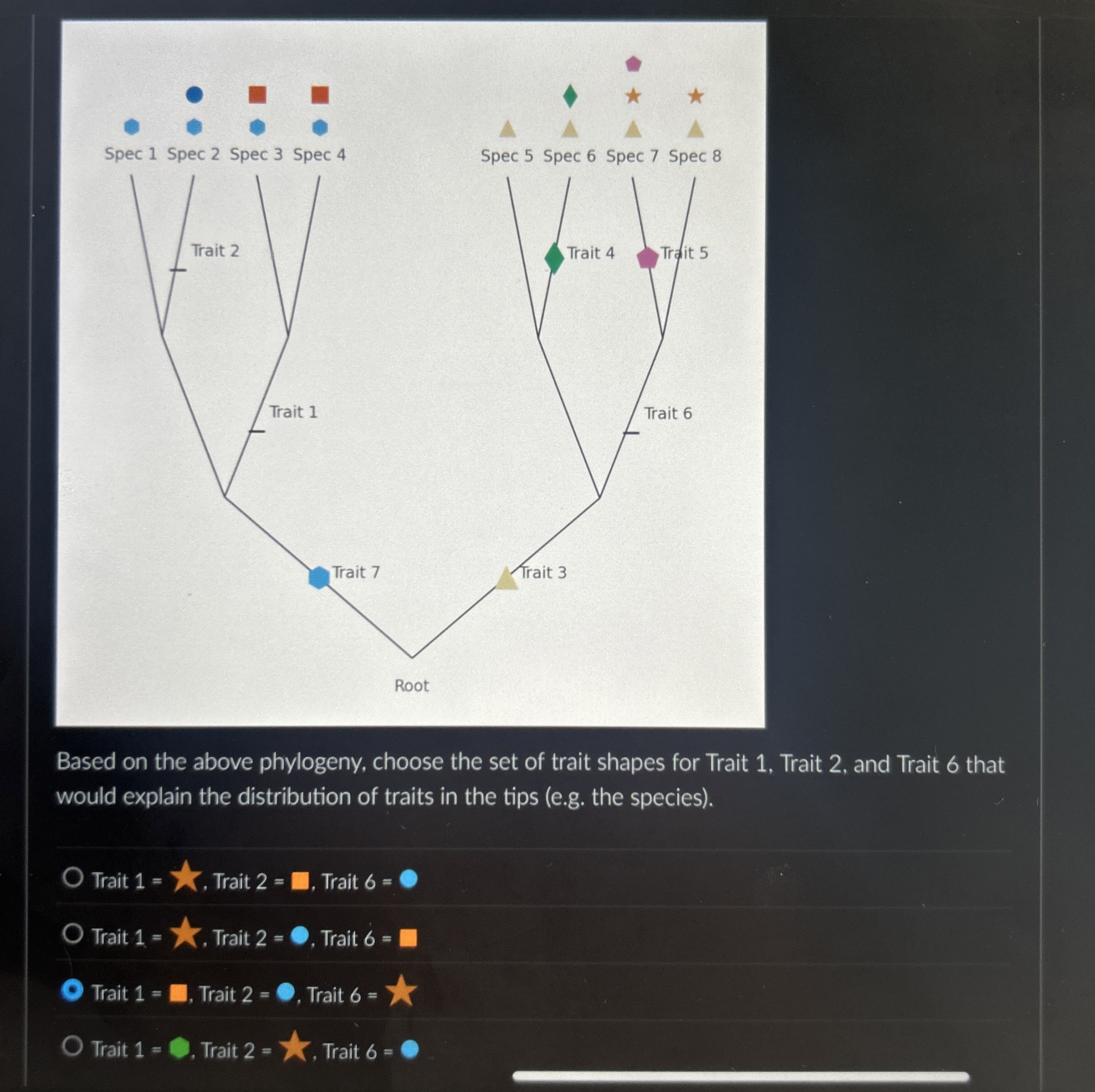 Solved Based on the above phylogeny, choose the set of trait | Chegg.com