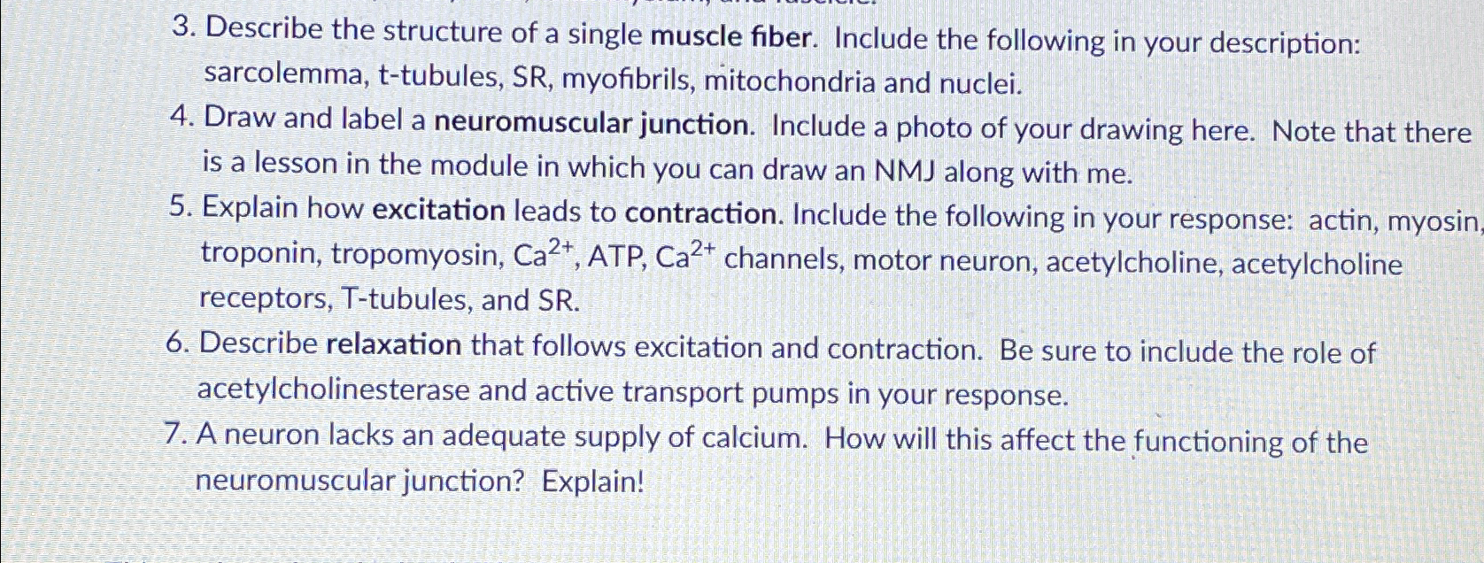 Solved Describe the structure of a single muscle fiber. | Chegg.com