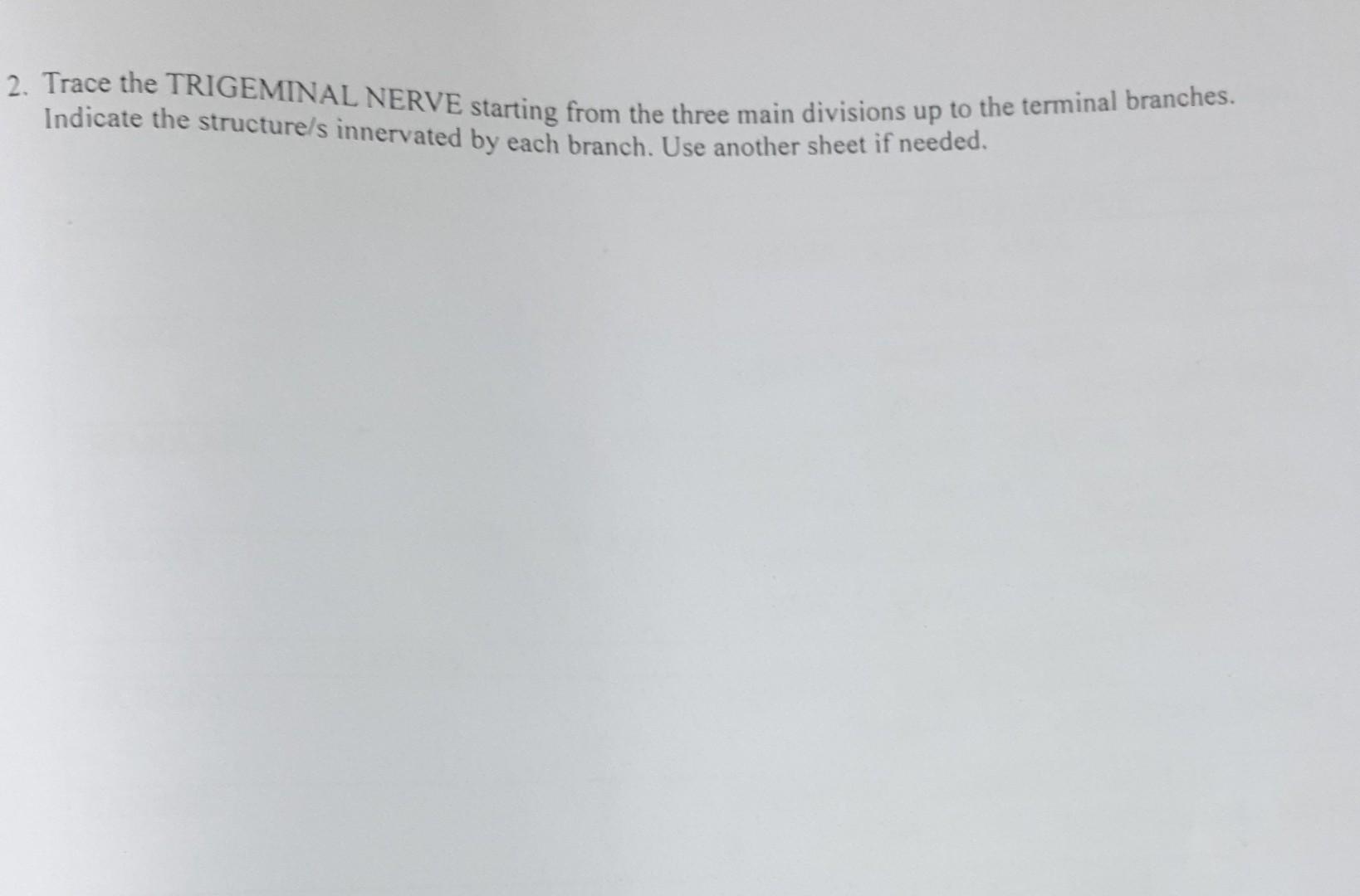 Solved Trace the TRIGEMINAL NERVE starting from the three | Chegg.com