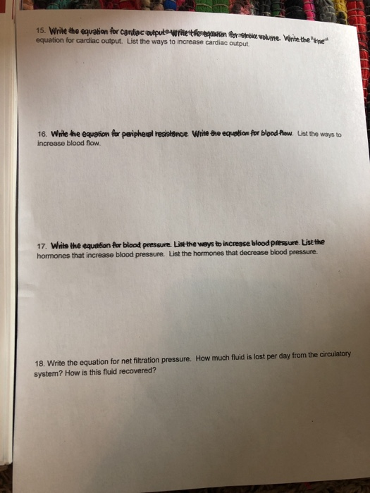 Solved LAB TIME/DATE EXERCISE 33A Human Cardiovascular | Chegg.com