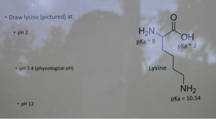 Solved - pH 7.4 (physiological pH) | Chegg.com