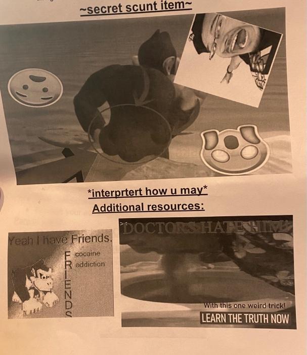 Solved -secret scunt item *interprtert how u may* Additional | Chegg.com