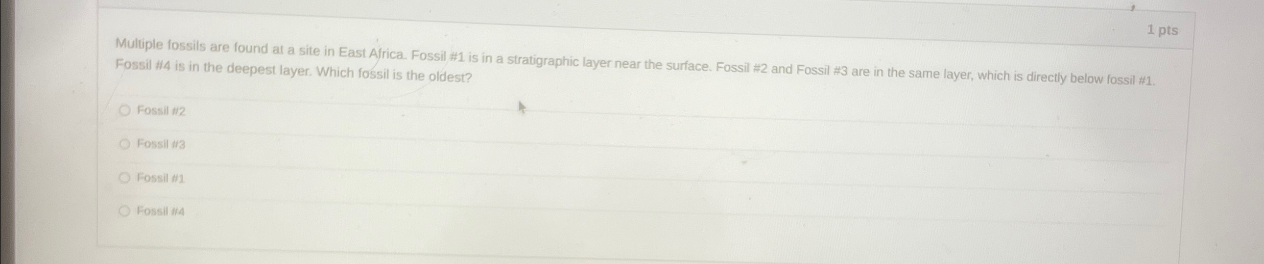 Solved Multiple fossils are found at a site in East Africa. | Chegg.com