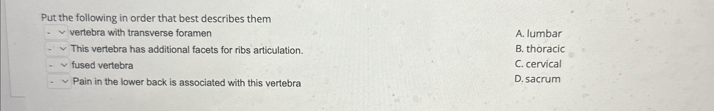 Solved Put the following in order that best describes | Chegg.com