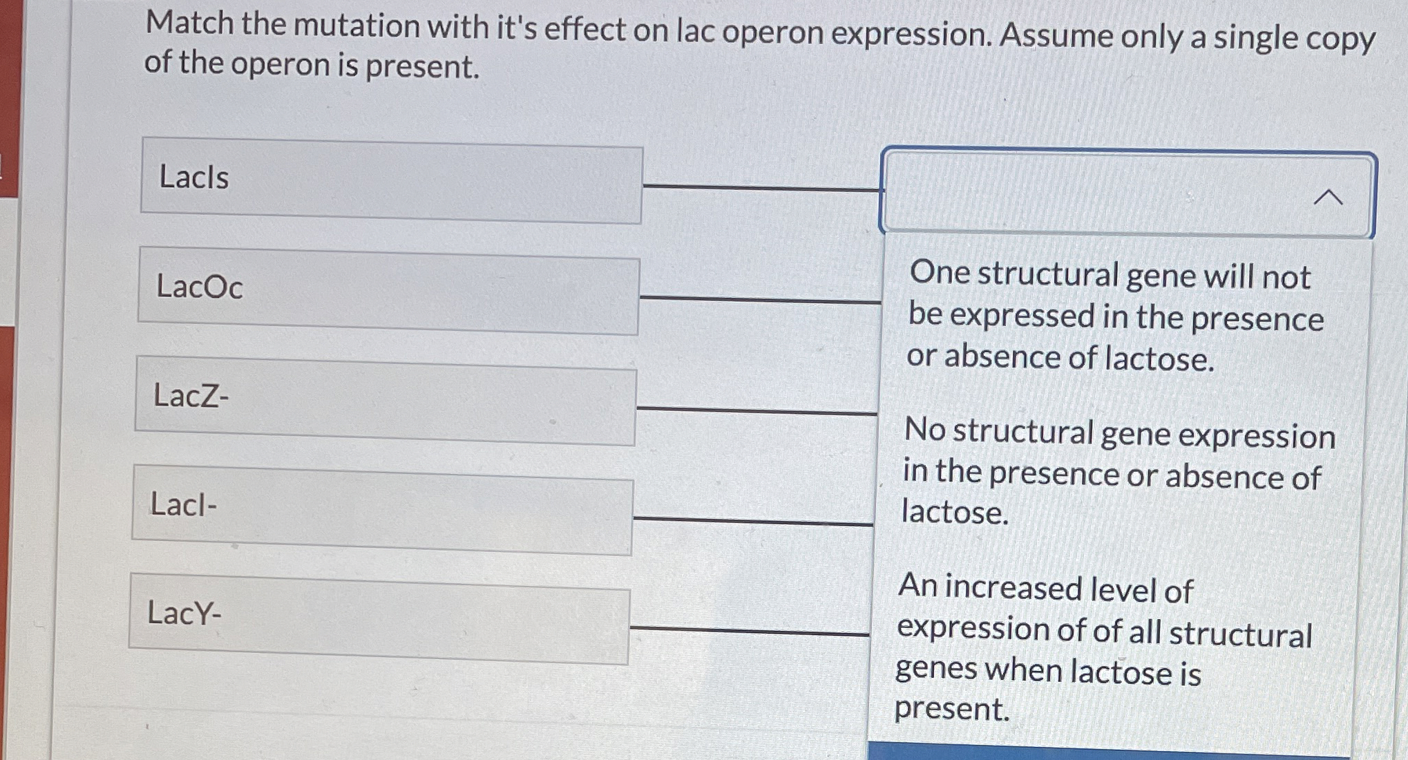 Solved Match the mutation with it's effect on lac operon | Chegg.com