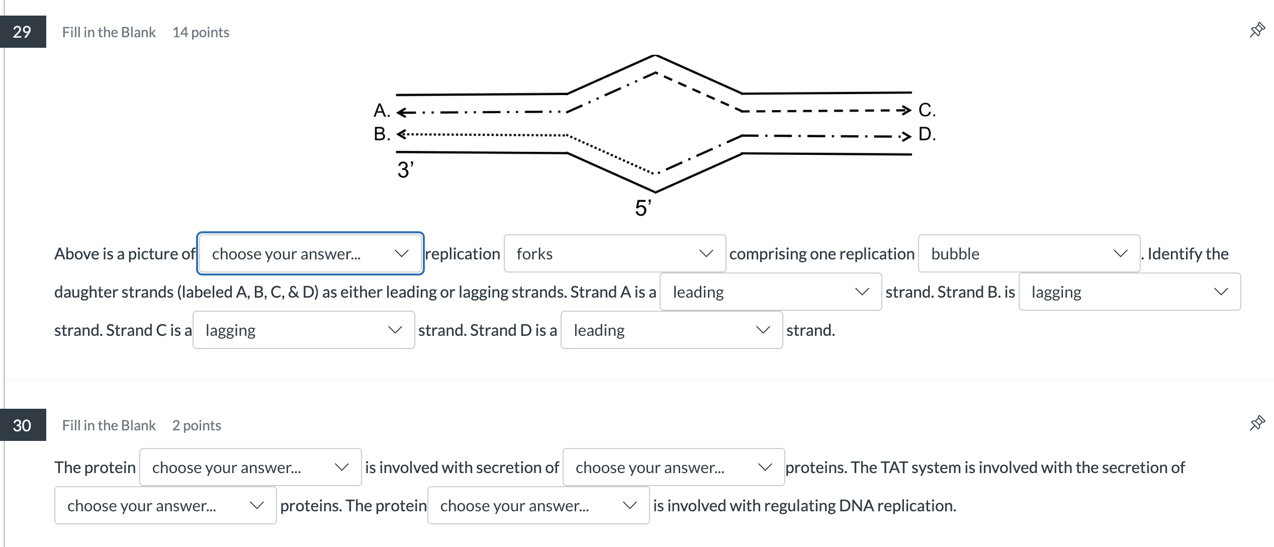 Solved Above is a picture of replication comprising one | Chegg.com