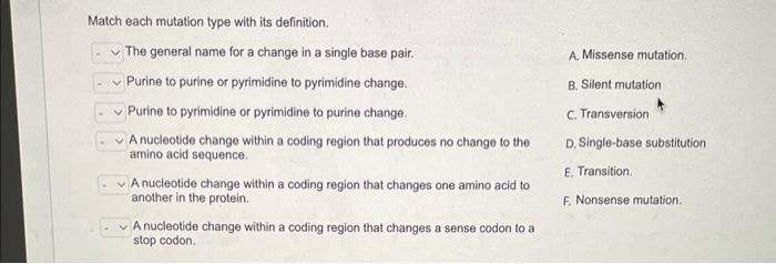 Solved Match each mutation type with its definition. The | Chegg.com