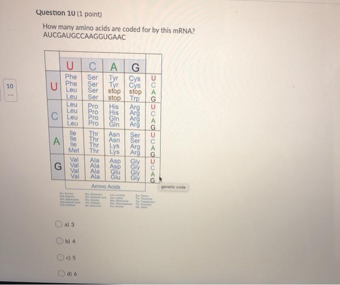 Solved Question 8 (1 point) An anticodon 1) is a three-base | Chegg.com