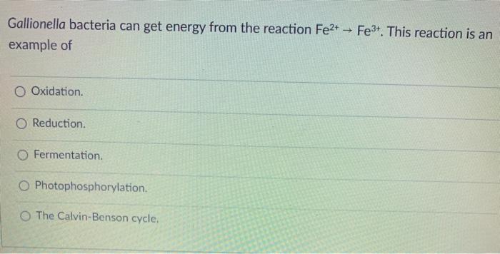 Solved Gallionella bacteria can get energy from the reaction | Chegg.com