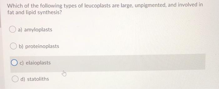 Solved Which of the following types of leucoplasts are | Chegg.com