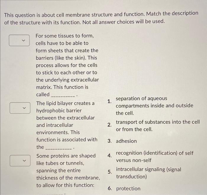Solved This question is about cell membrane structure and | Chegg.com