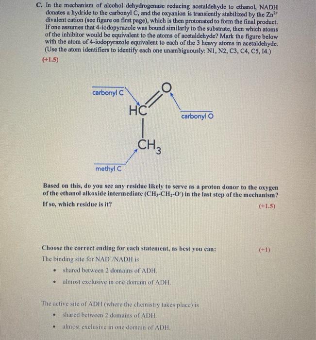 Solved C. In the mechanism of alcohol dehydrogenase reducing | Chegg.com