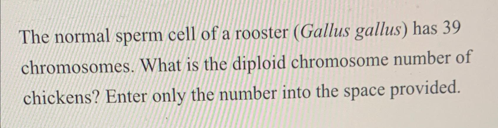 Solved The normal sperm cell of a rooster (Gallus gallus) | Chegg.com