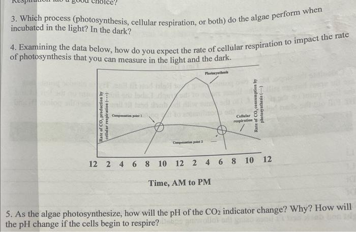 [Solved]: 3. Which process (photosynthesis, cellular respir
