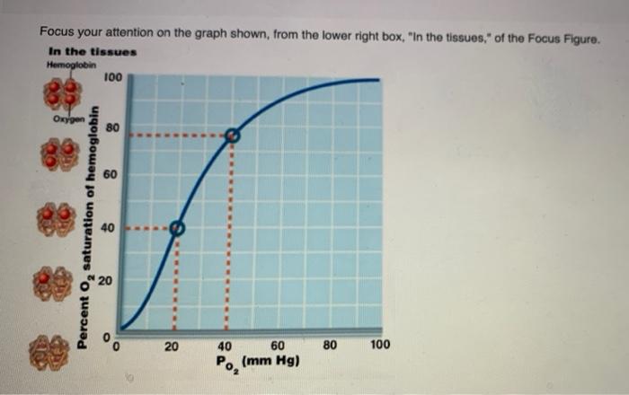 Solved Focus your attention on the graph shown, from the | Chegg.com