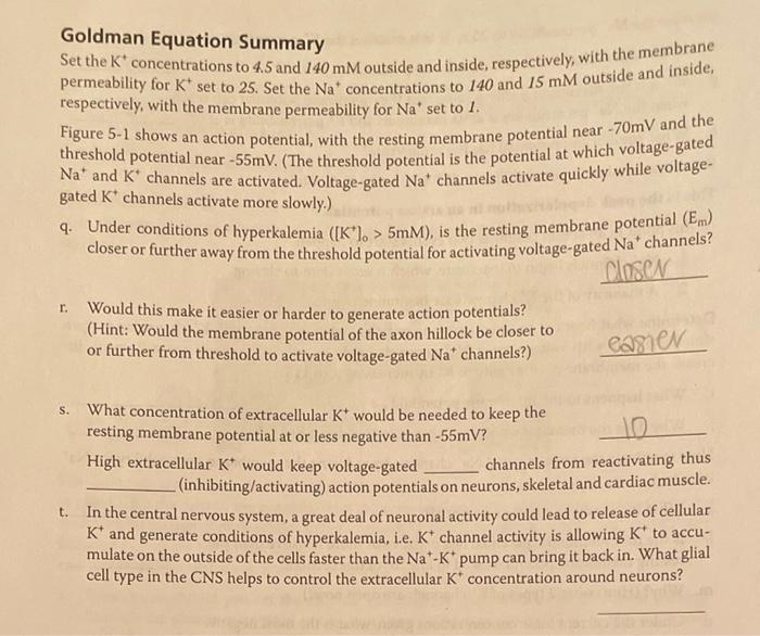 Solved Goldman Equation Summary Set the K+concentrations to | Chegg.com