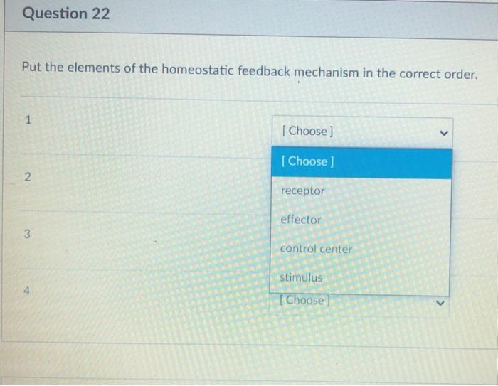 Solved Question 12 Match each macromolecule with the | Chegg.com