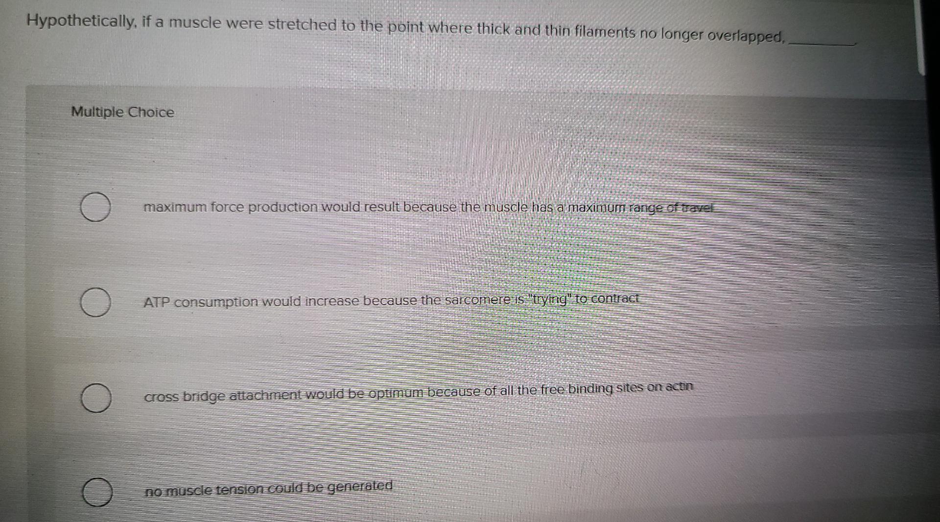 Solved Hypothetically, if a muscle were stretched to the | Chegg.com