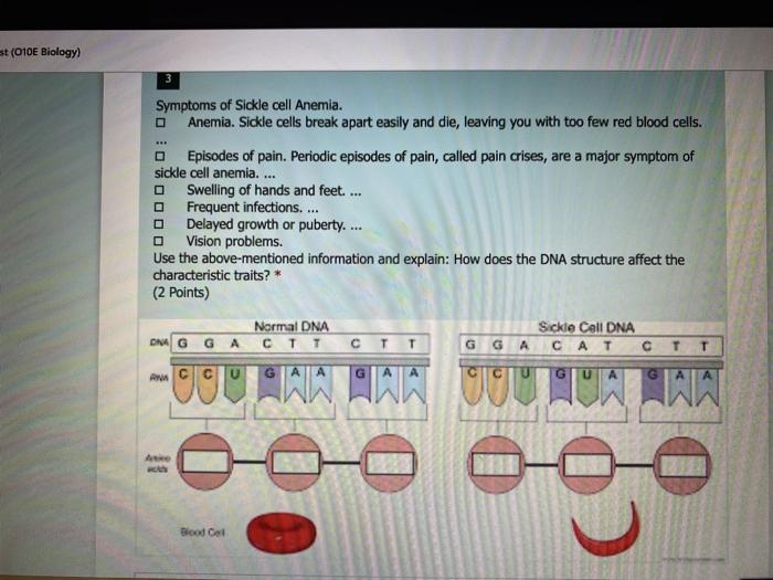 Solved HS-LS1-7: Use a model. Which of the following are the | Chegg.com