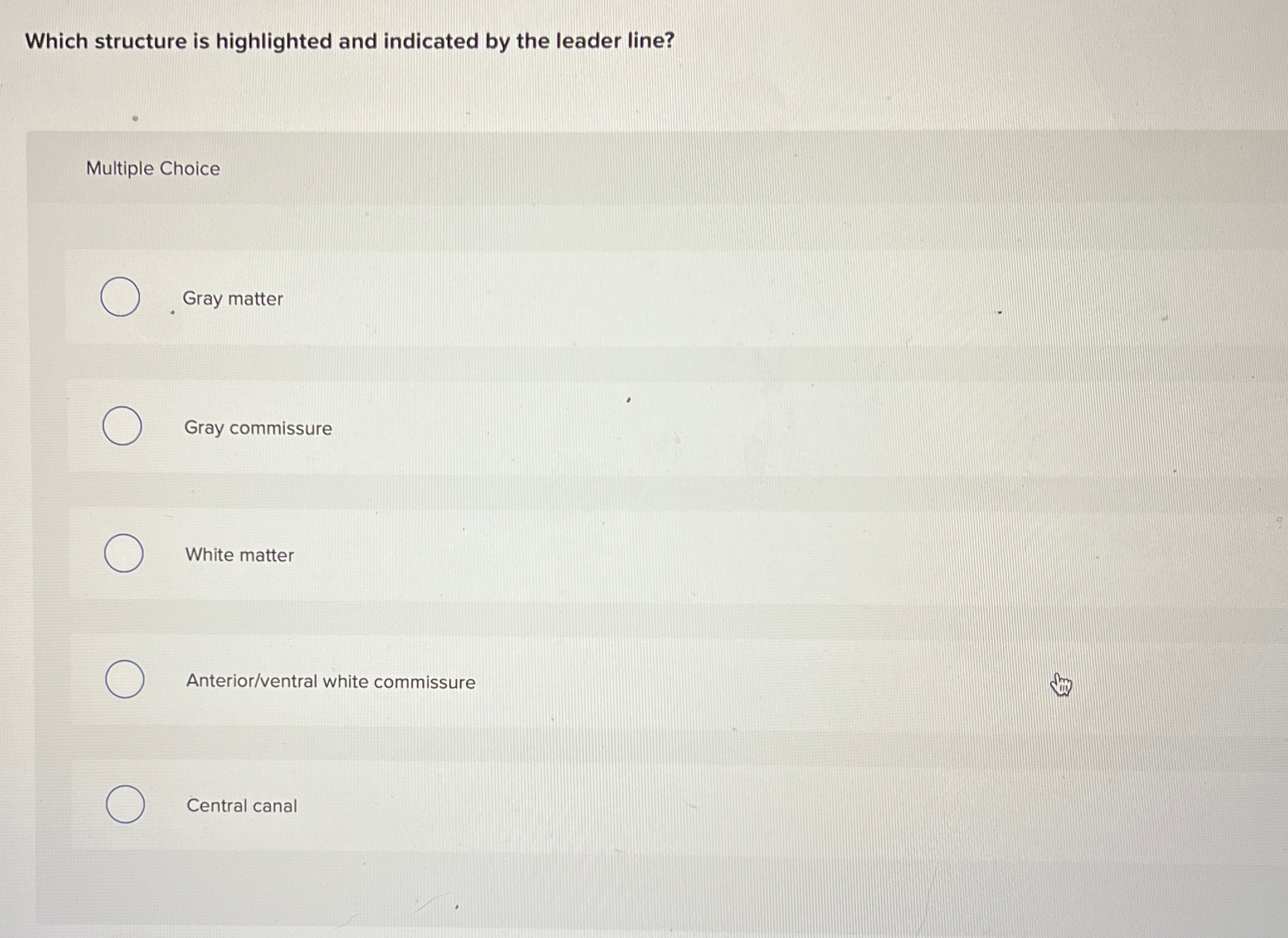 Solved Which structure is highlighted and indicated by the | Chegg.com