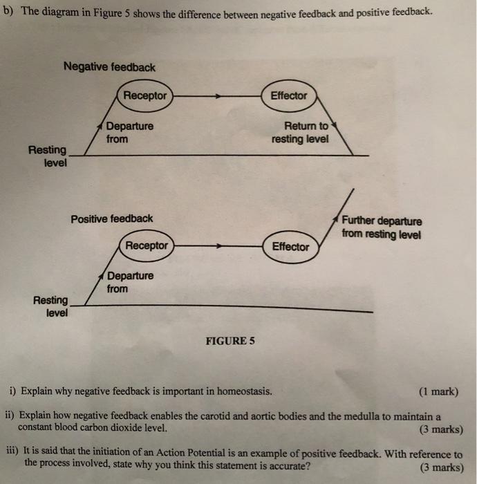 Solved b) The diagram in Figure 5 shows the difference | Chegg.com