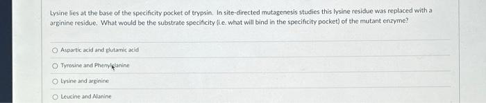 Solved Lysine lies at the base of the specificity pocket of | Chegg.com